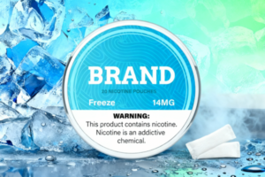 10 Best Snus Brands in the USA